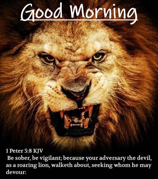 050824 - 1 Peter 5-8, Be vigilant - Devil prowls » C_J's Timeline Photos